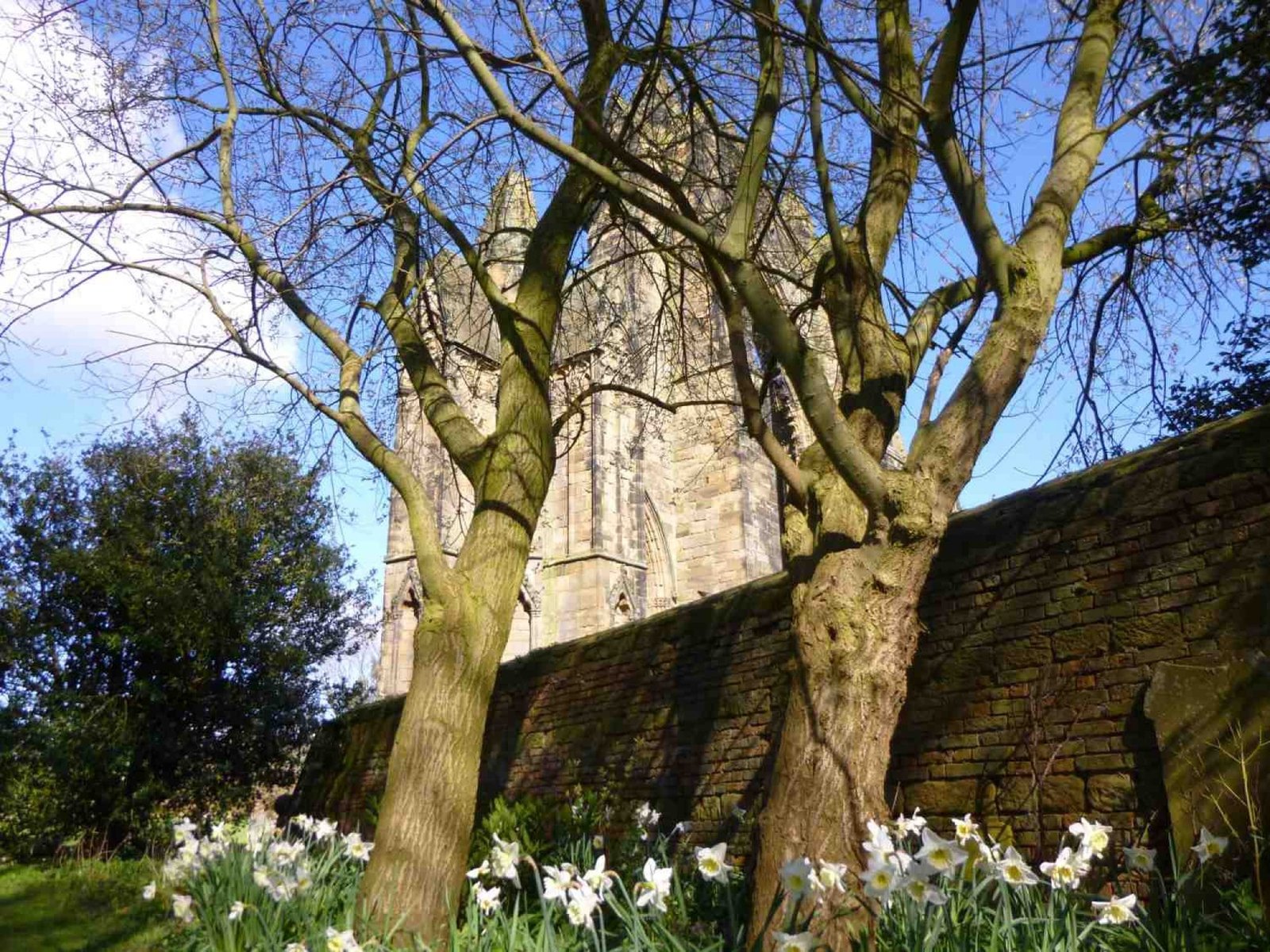 900 Years of History - Gisborough Priory Project
